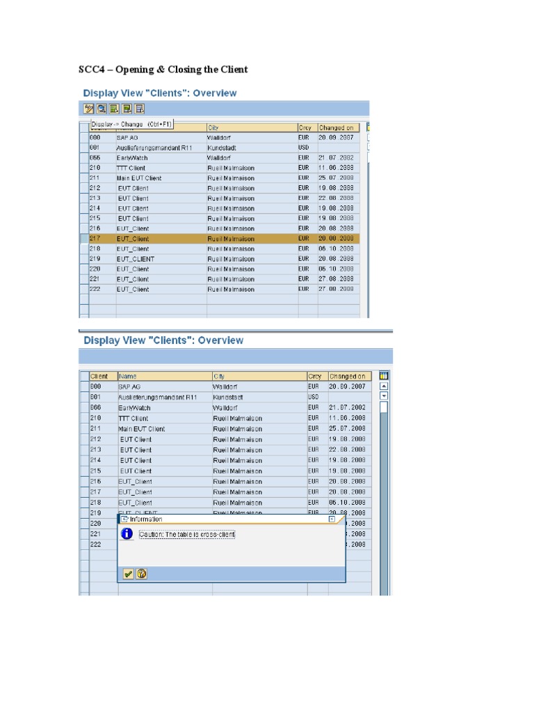 How To Do Opening & Closing of The Client-SCC4 | PDF | Computing ...
