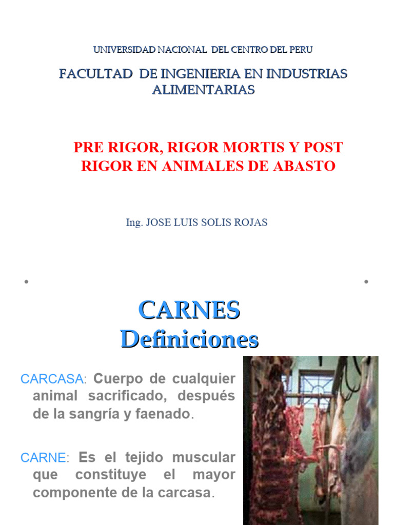 Pre Rigor, Post Rigor Mortis | PDF | Carne | Músculo