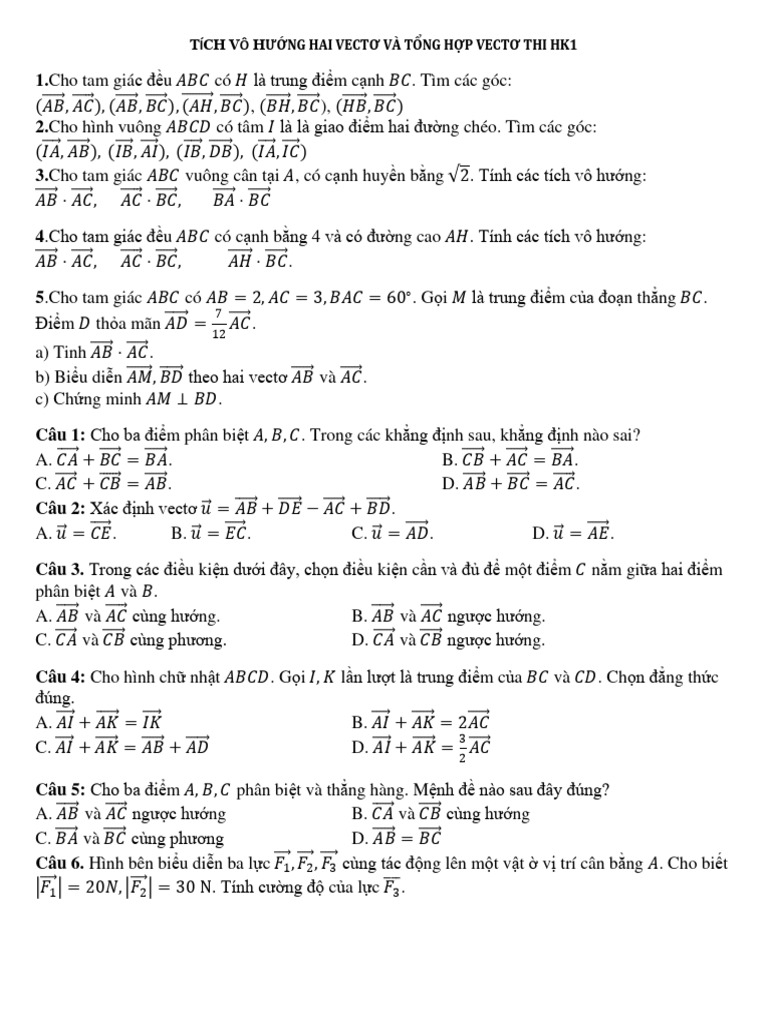 Vecto Tich Vo Huong | PDF