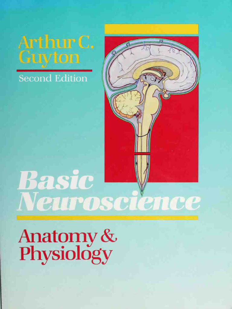 Basic Neuroscience Anatomy & Physiology | PDF | Neuron | Nervous System