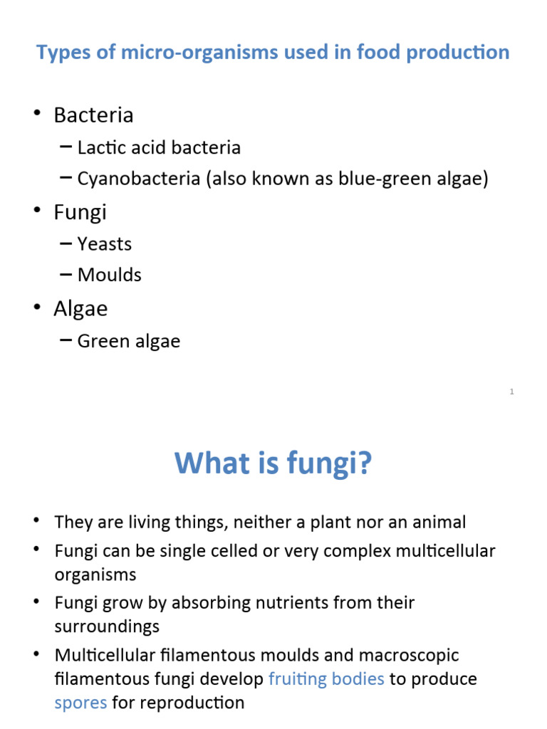Micro-Organisms in Food Production | PDF | Cheese | Beer