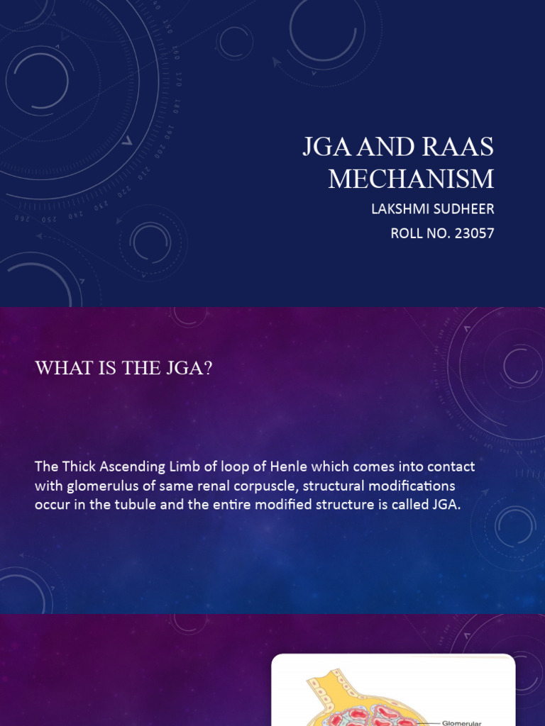 Jga and Raas Mechanism | PDF