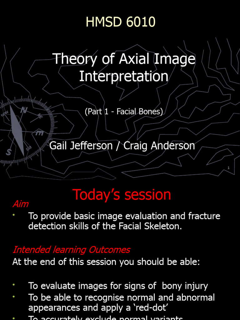 6010 Theory of Axial - Part 1 Facial Bones | PDF | Skull | Human Head ...