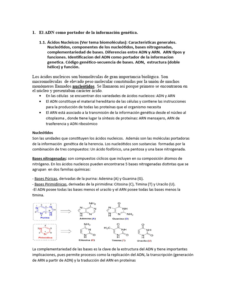 El ADN Como Portador de La Información Genética | PDF | Rna | Cromosoma