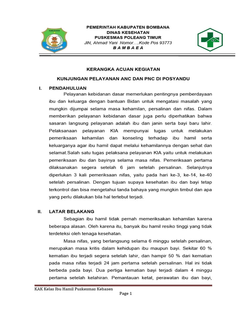 Kak Pembidaan Anc Dan PNC | PDF