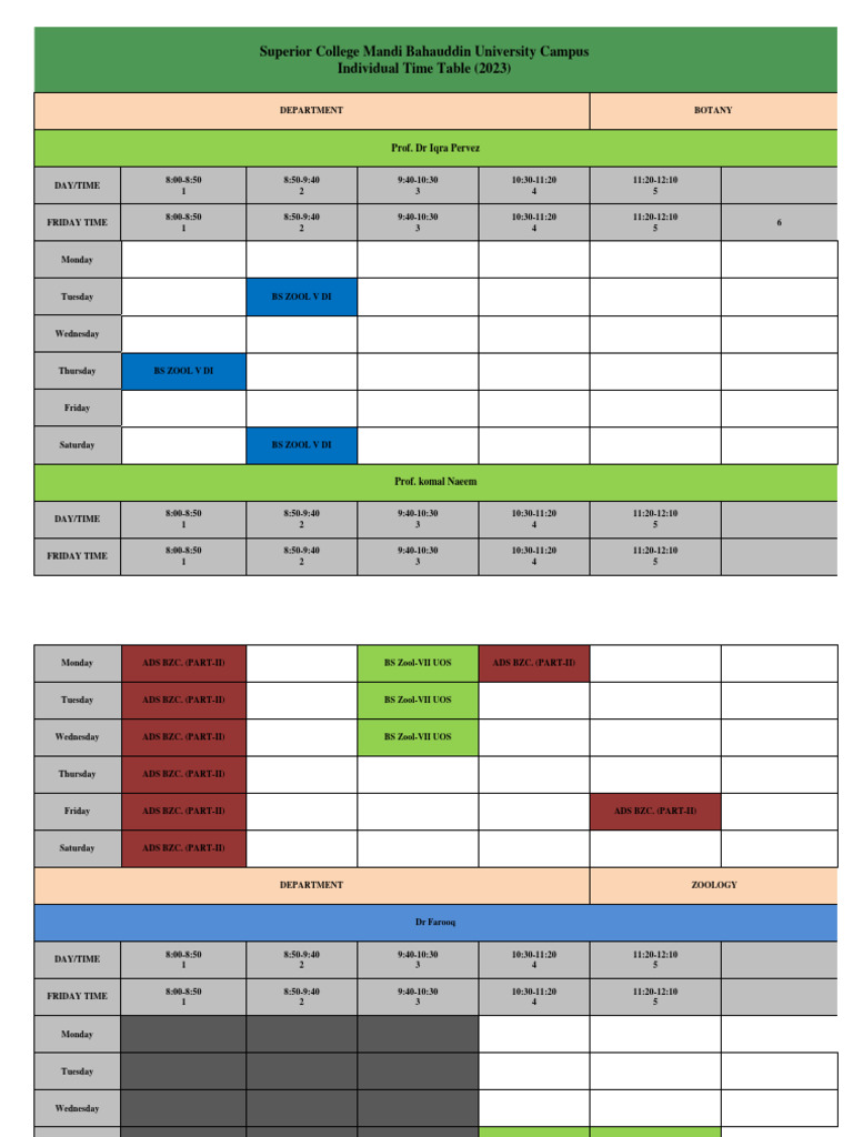 Individual Prof Time Table 2024 | PDF