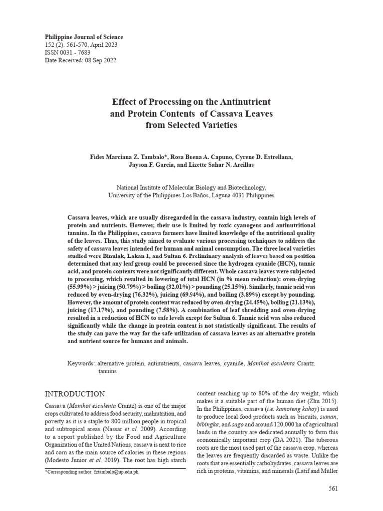 Effects of Processing On The Antinutrient and Protein Contents of Cassava Leaves | PDF | Cyanide