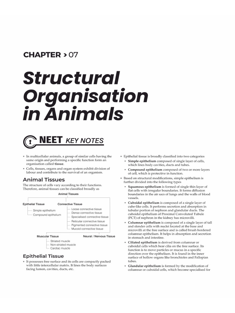 Structural Organisation in Animals | PDF