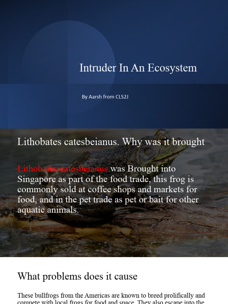 Intruder in an Ecosystem | PDF