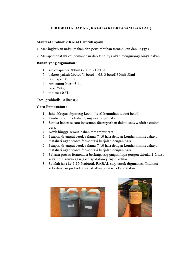 Probiotik Rabal | PDF | Memasak, Makanan, & Anggur | Kesehatan Holistik