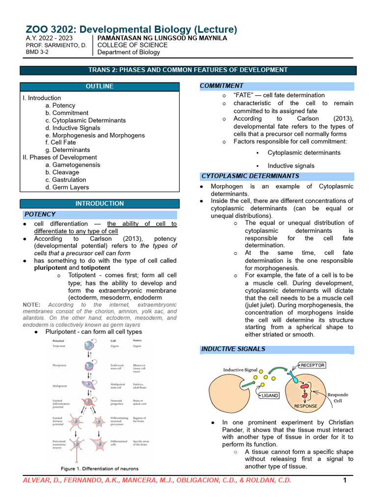 ZOO-3202_Trans 2_Phases and Common Features of Development | PDF | Embryo | Cell Potency