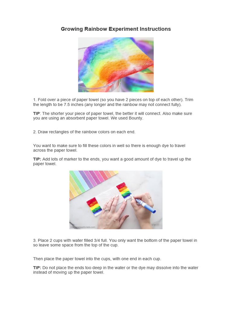Towel Paper Experiment Instructions | PDF