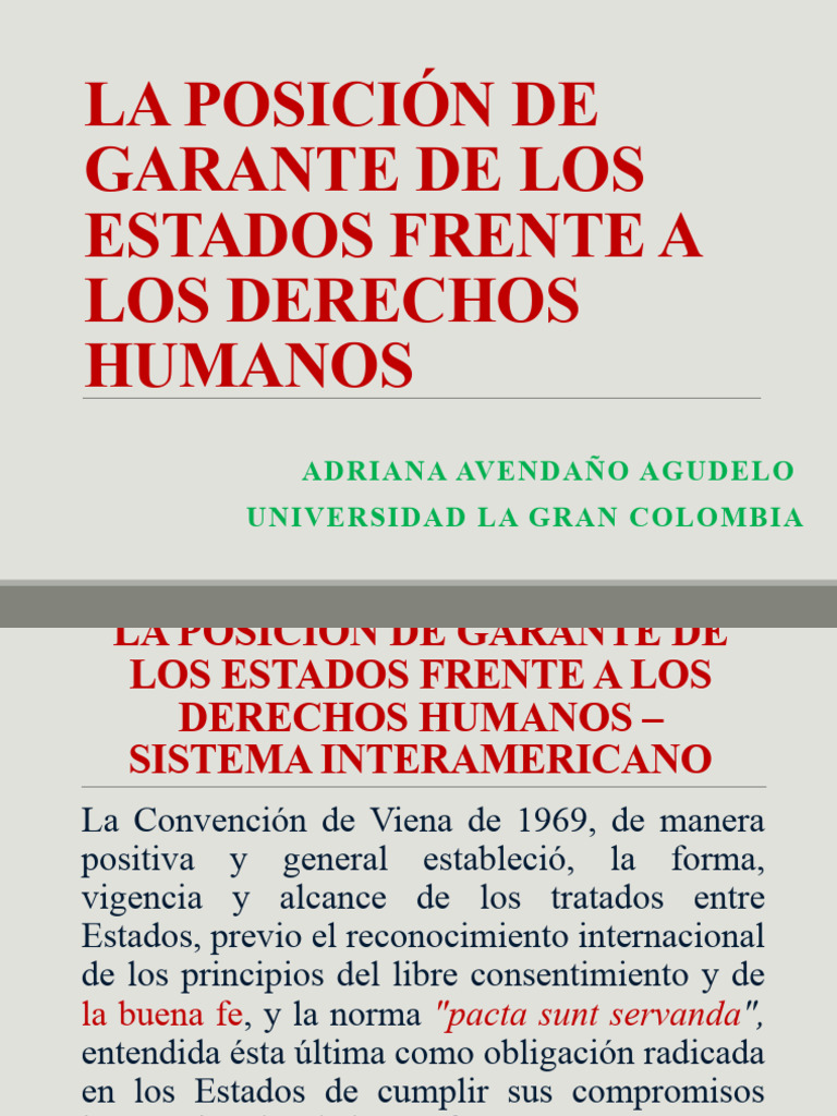 Posición de Garante de Los Estados Frente A Los Derechos Humanos | PDF ...