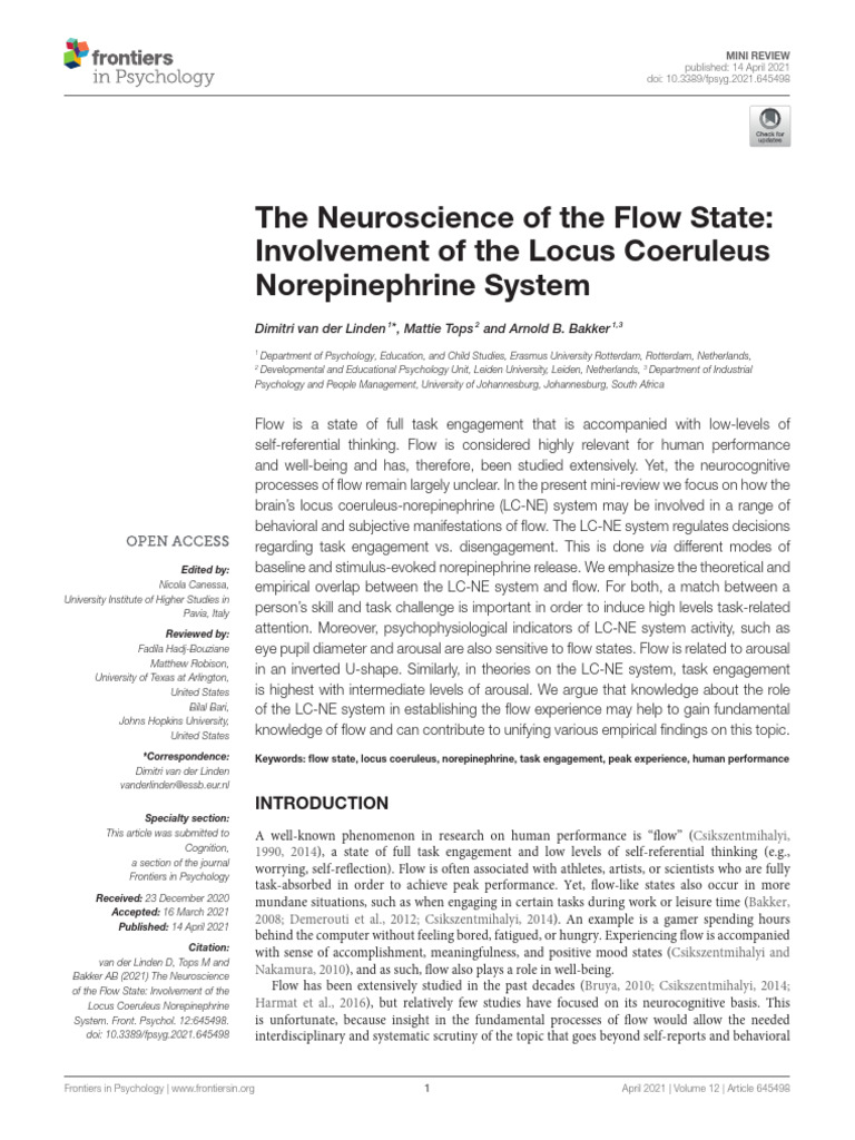 The science of Flow State | PDF | Flow (Psychology) | Reward System