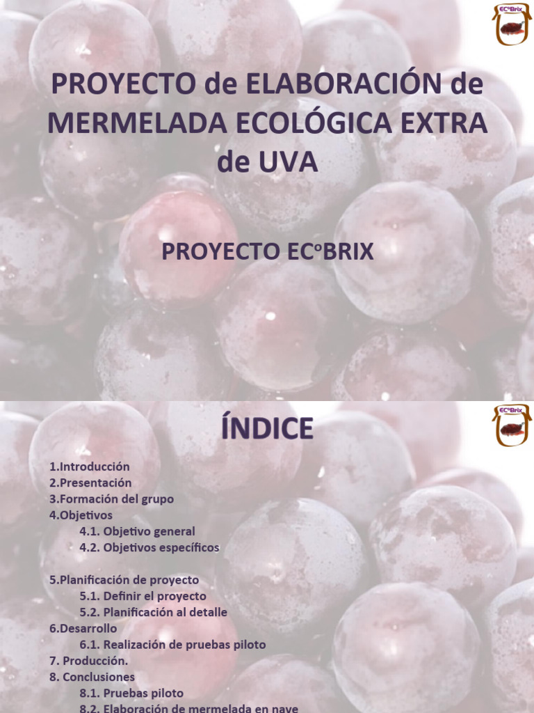 PROYECTO ECOBRIX Definitivo | PDF | Cocina, comidas y vino