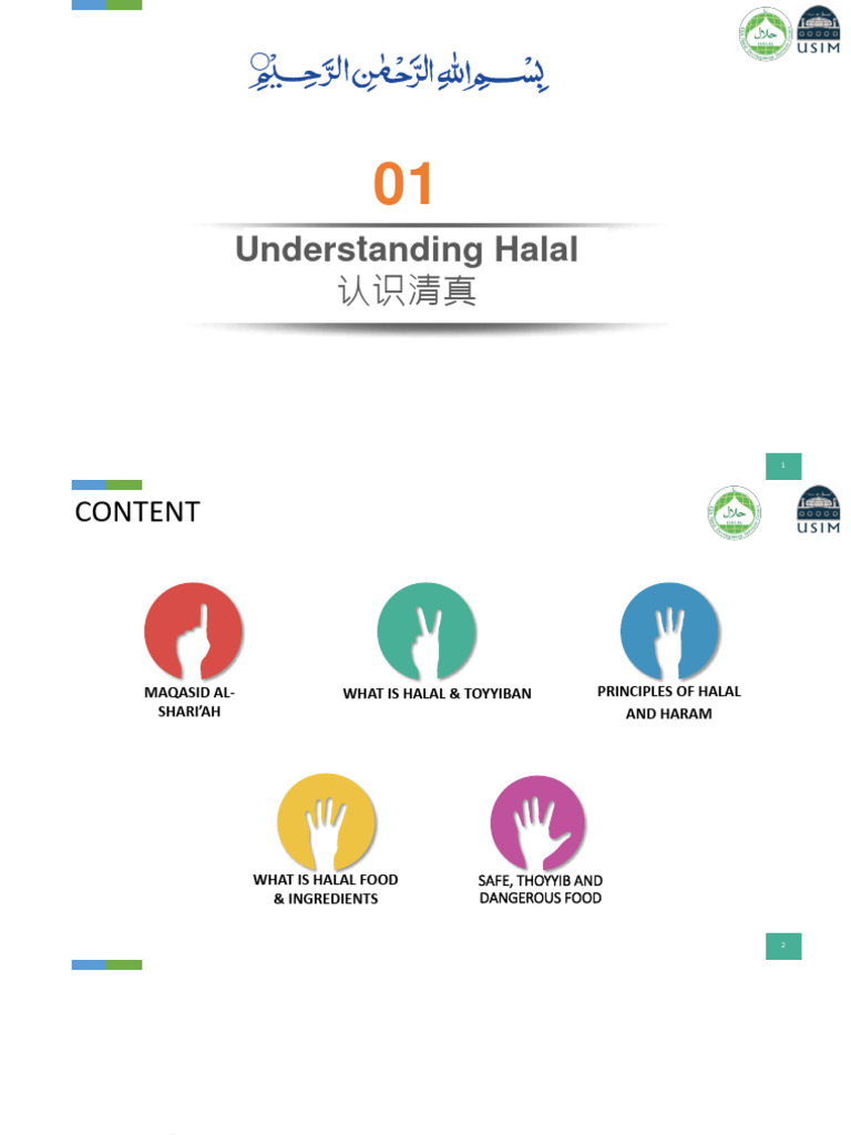 #Understanding Halal | PDF | Fruit Preserves | Slaughterhouse