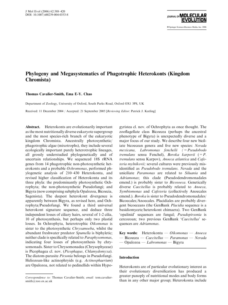 Cavalier Smith 2006 Phylogeny and Megasystematics of Ph | PDF ...