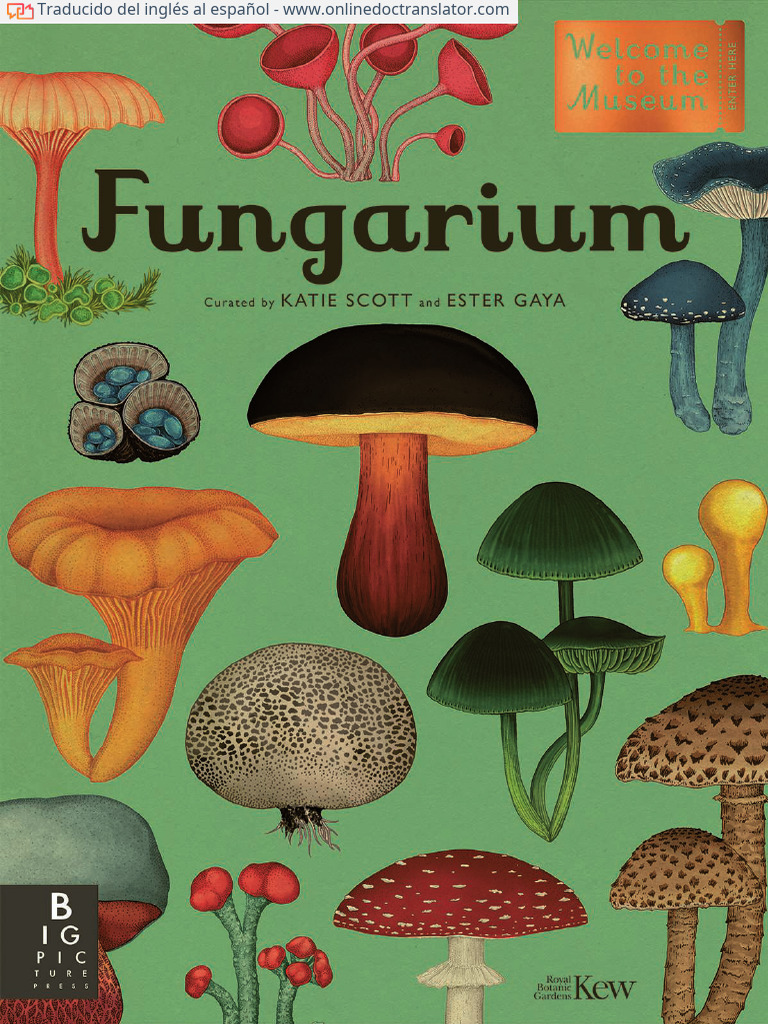 FUNGARIUM - En.es | PDF | Hongo | Espora