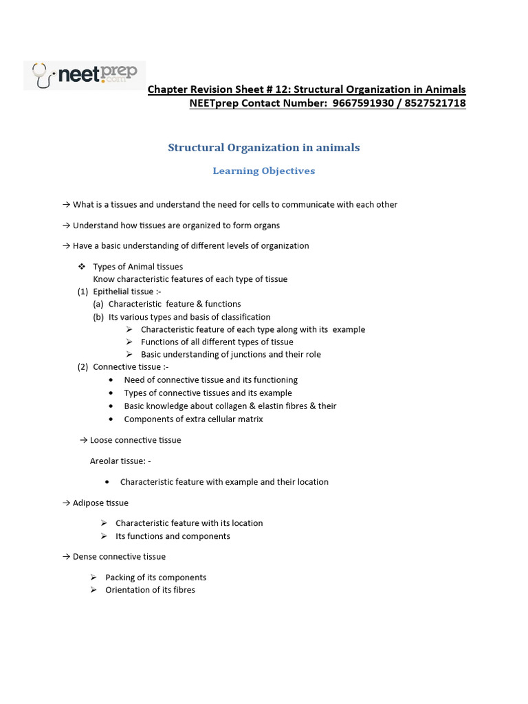 #12_Chapter_Revision_Sheet_Structural | PDF | Connective Tissue ...
