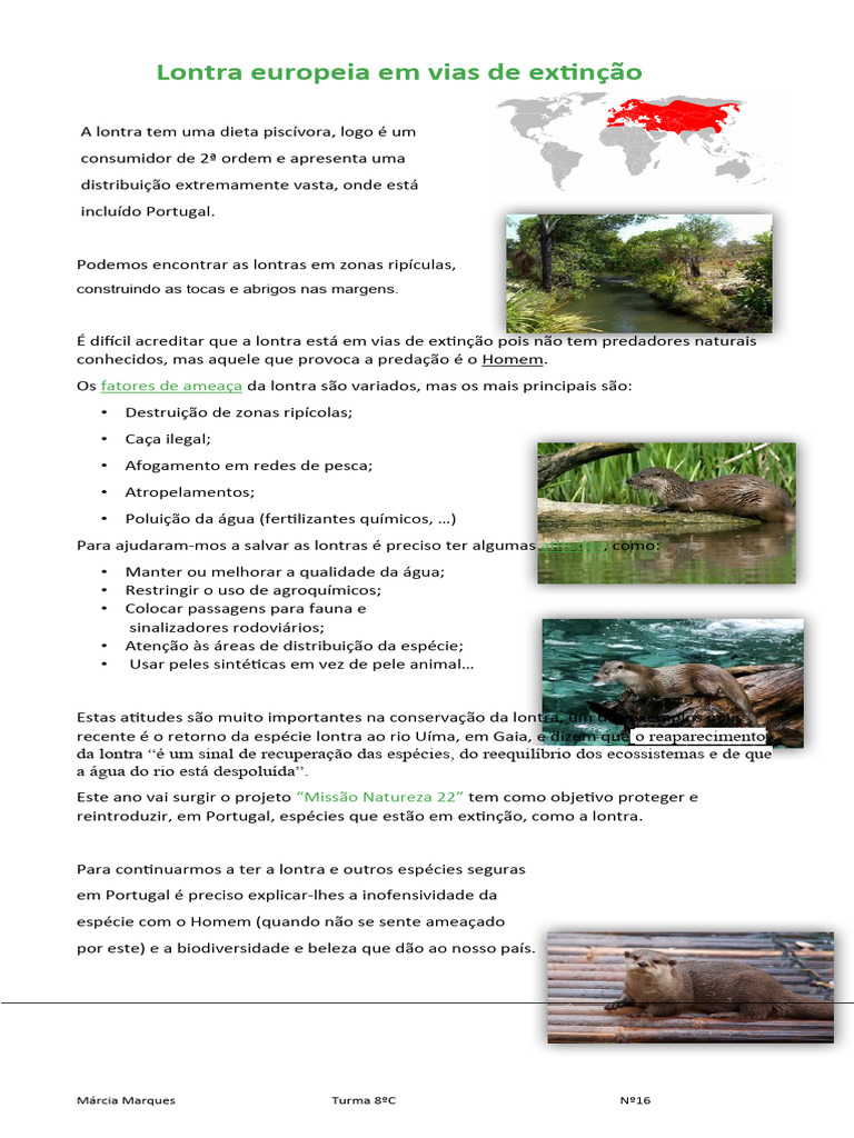Lontra Europeia: Ameaças e Conservação | PDF