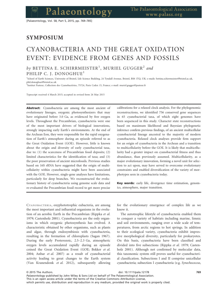 Schirrmeister 2015 Cyanobacteria and The Great Oxidati | PDF ...
