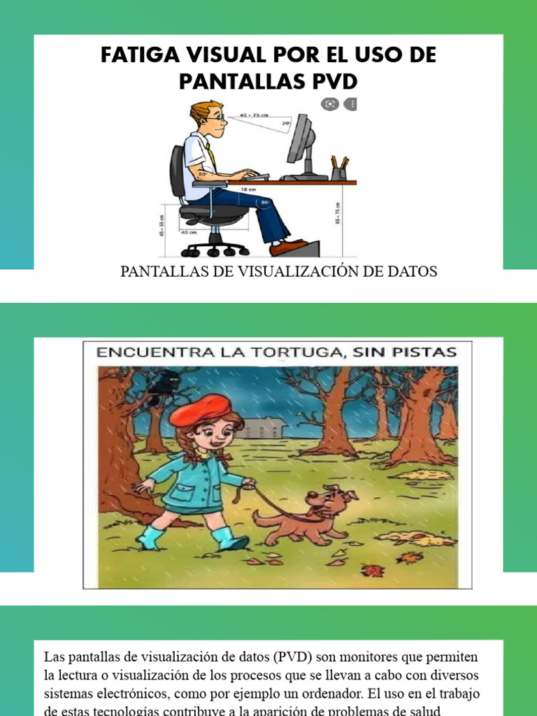 Fatiga Visual Por El Uso de Pantallas PVD | PDF