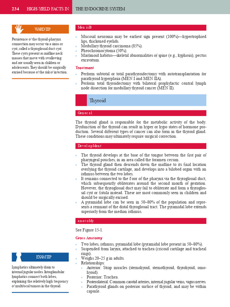 First Aid For The Surgery Thyroid Anatomy Download Free Pdf Thyroid Common Carotid Artery