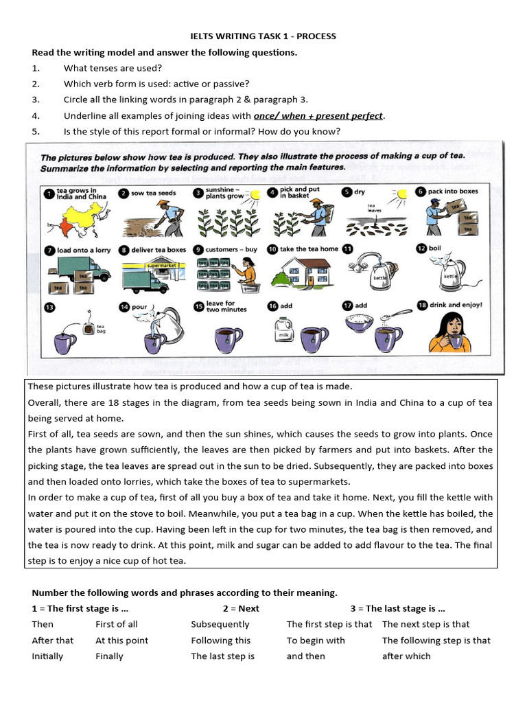 IELTS Writing Task 1: Process Analysis | PDF | Brewing | Beer