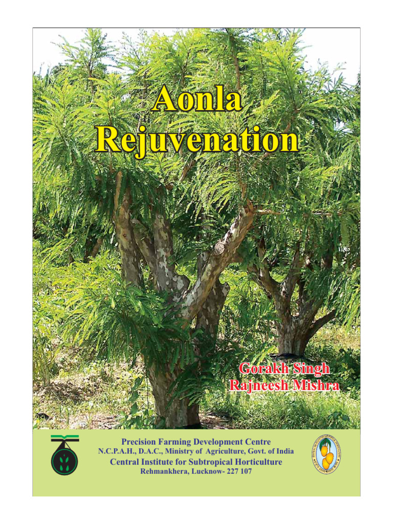 Aonla Rejuvenation Techniques Guide | PDF | Pruning | Pest (Organism)