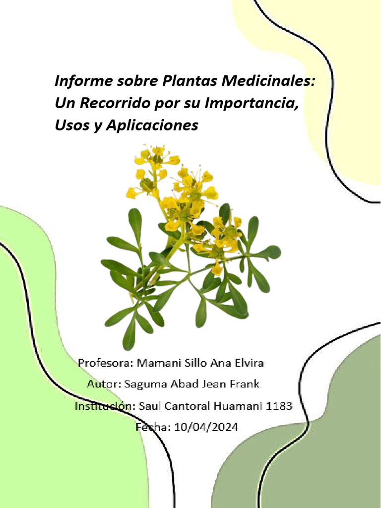 Informe sobre Plantas Medicinales Frank saguma abad | PDF | Plantas ...