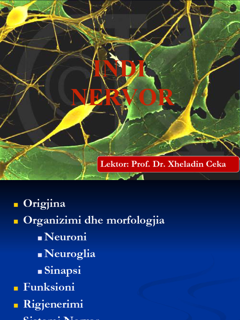 19.Indi nervor | PDF