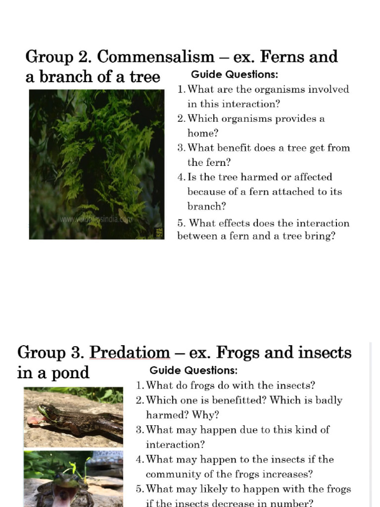 5 Interactions of Organisms Among Organisms in Their Environment | PDF
