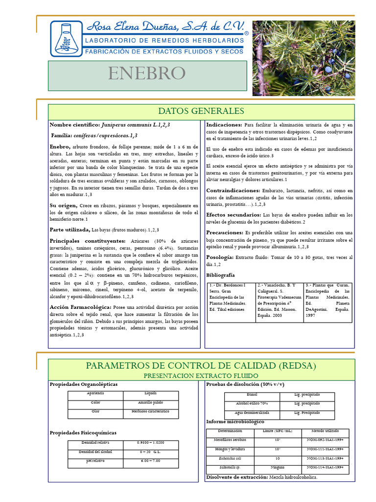 Enebro | PDF | Etanol