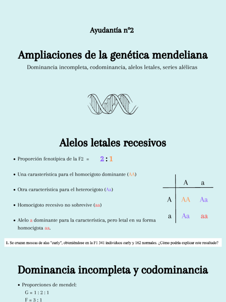 Ayudant A N 2 Ampliaciones de La Gen Tica Mendeliana | PDF | Dominancia (Genética) | Alelo