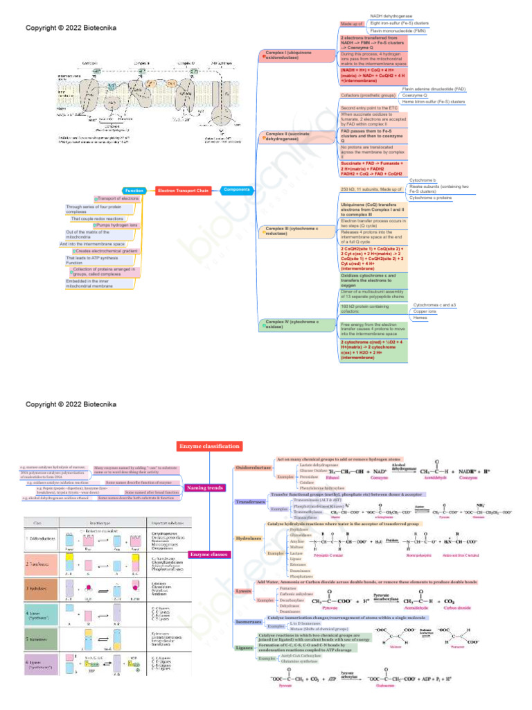 Csir-Mind-Maps-Sample 2 2 2 (1) Unlocked Removed | PDF | Electron ...