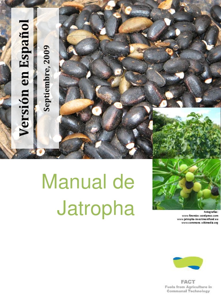 FACT Jatropha Handbook - Espanol | PDF
