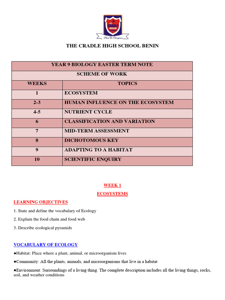 38 Year 9 Biology Easter Term Note1702724755 | PDF | Food Web | Experiment