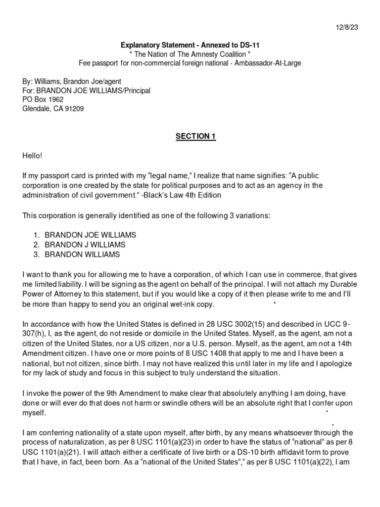Explanatory Statement For The Amnesty Coalition Send With Passport ...