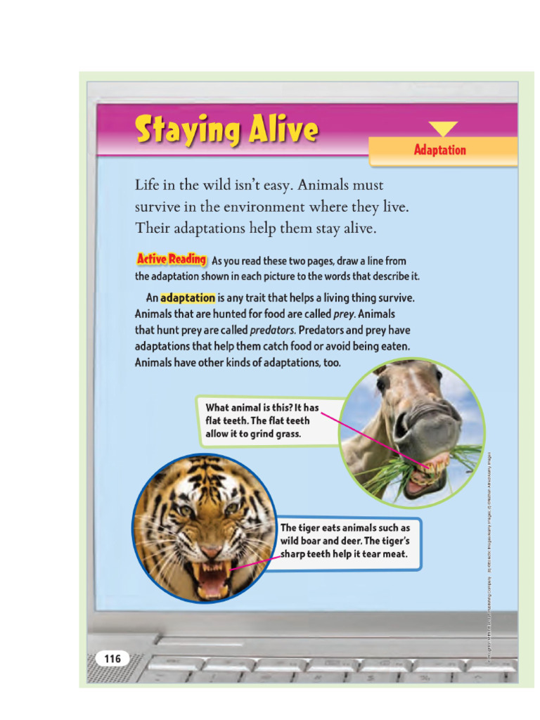 GR 3 Science Fusion U3L4 Book Pages With Answers | PDF