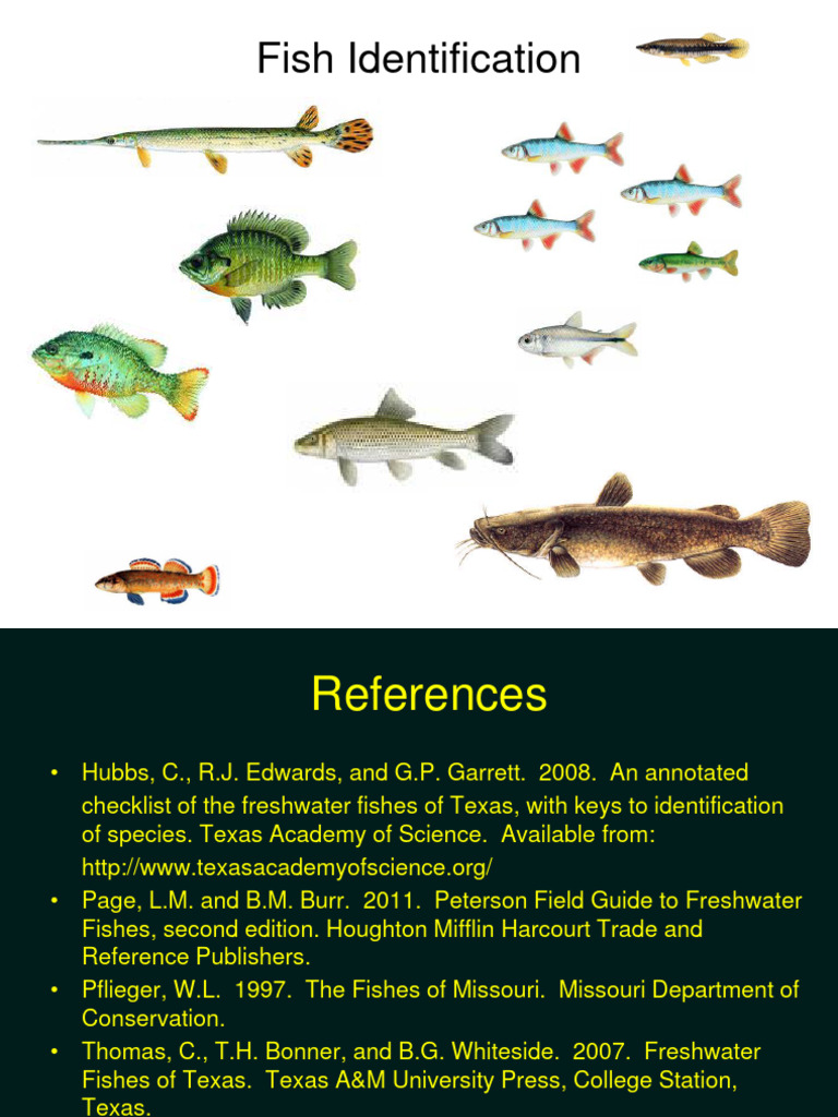 Fish SR | PDF | Fish