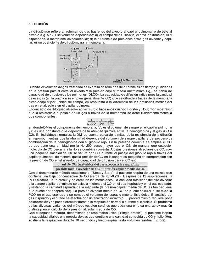 CAP 2DO PARCIAL PRUEBAS FUNCIONALES | PDF | Pulmón | Respiración