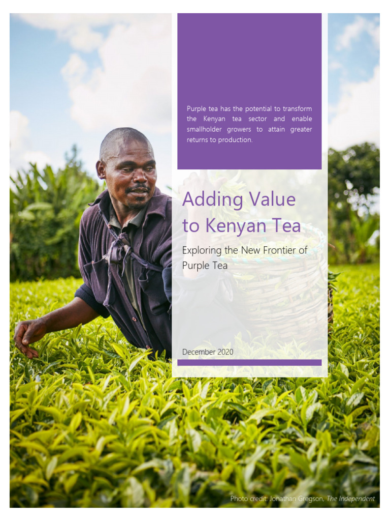 Adding Value To Kenyan Tea Production | PDF | Kenya | Smallholding