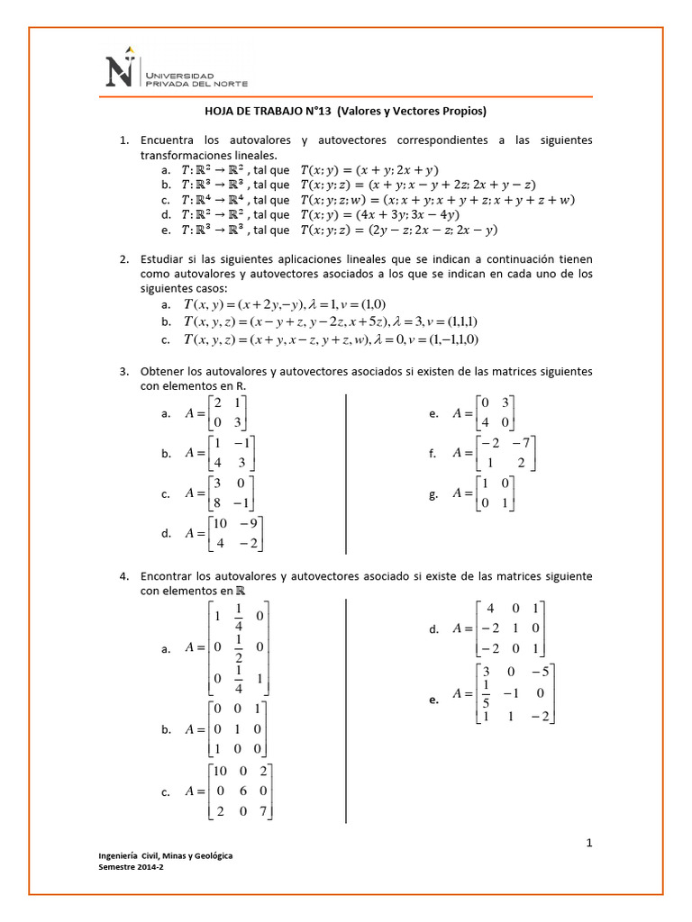 Hoja de Trabajo N13 | PDF | Valores propios y vectores propios | Matriz (Matemáticas)
