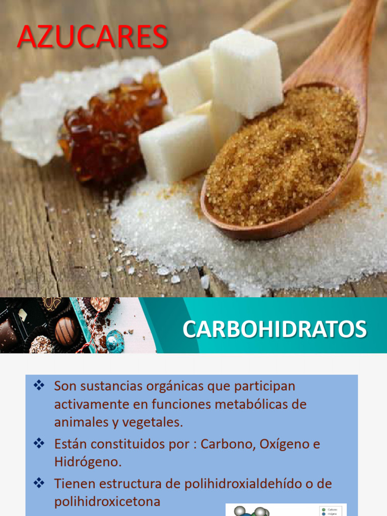 Clasificación y Funciones del Azúcar | PDF | Carbohidratos | Sacarosa