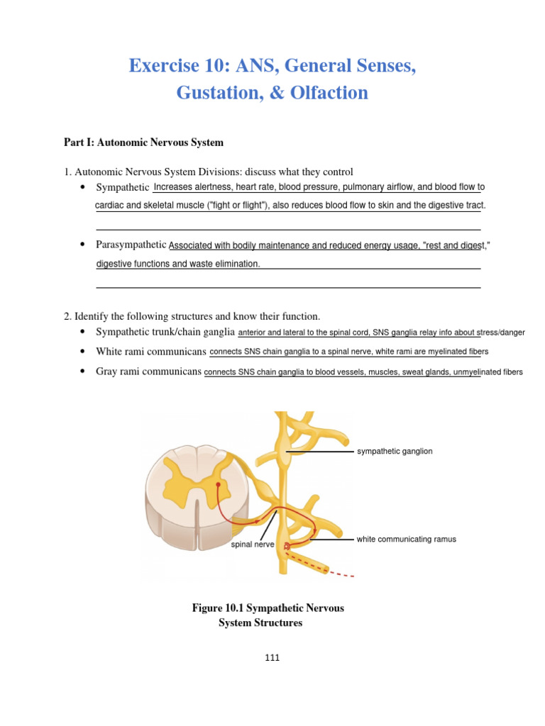 Bi 232 Lab 10 Pdf Taste Senses