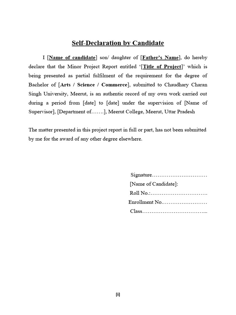 Attachments for Minor Project Report Format | PDF