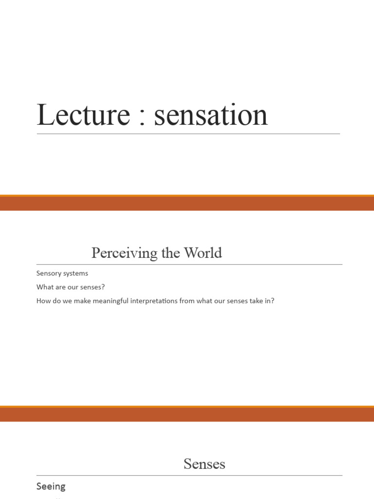 Sensation | PDF | Senses | Visual Perception