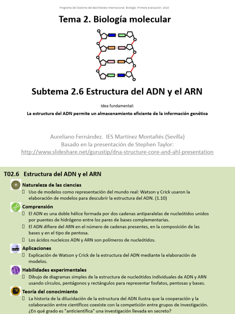 2 - 6 - Estructura Del ADN y El ARN | PDF | Ácidos nucleicos | Adn