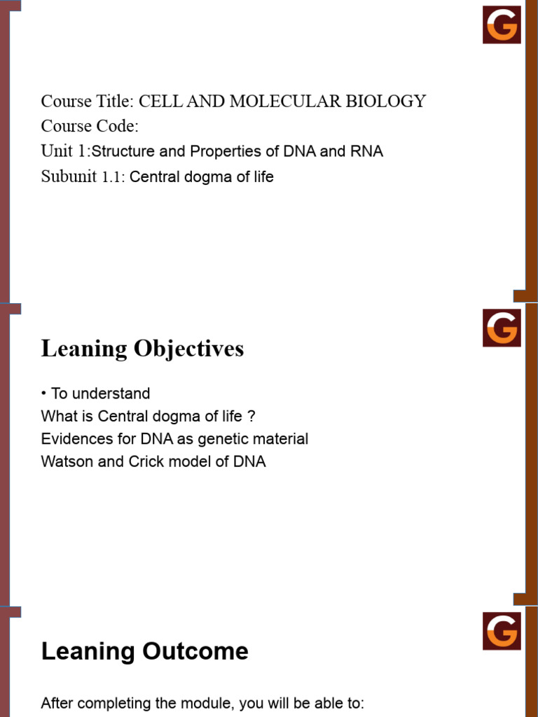 Structure of DNA and RNA | PDF | Dna | Rna