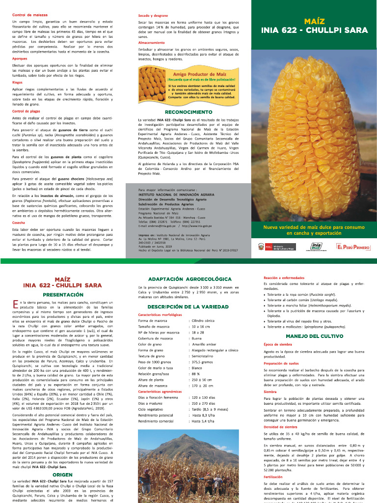 Inia-Maíz INIA 622 Chullpi Sara-2019 | PDF